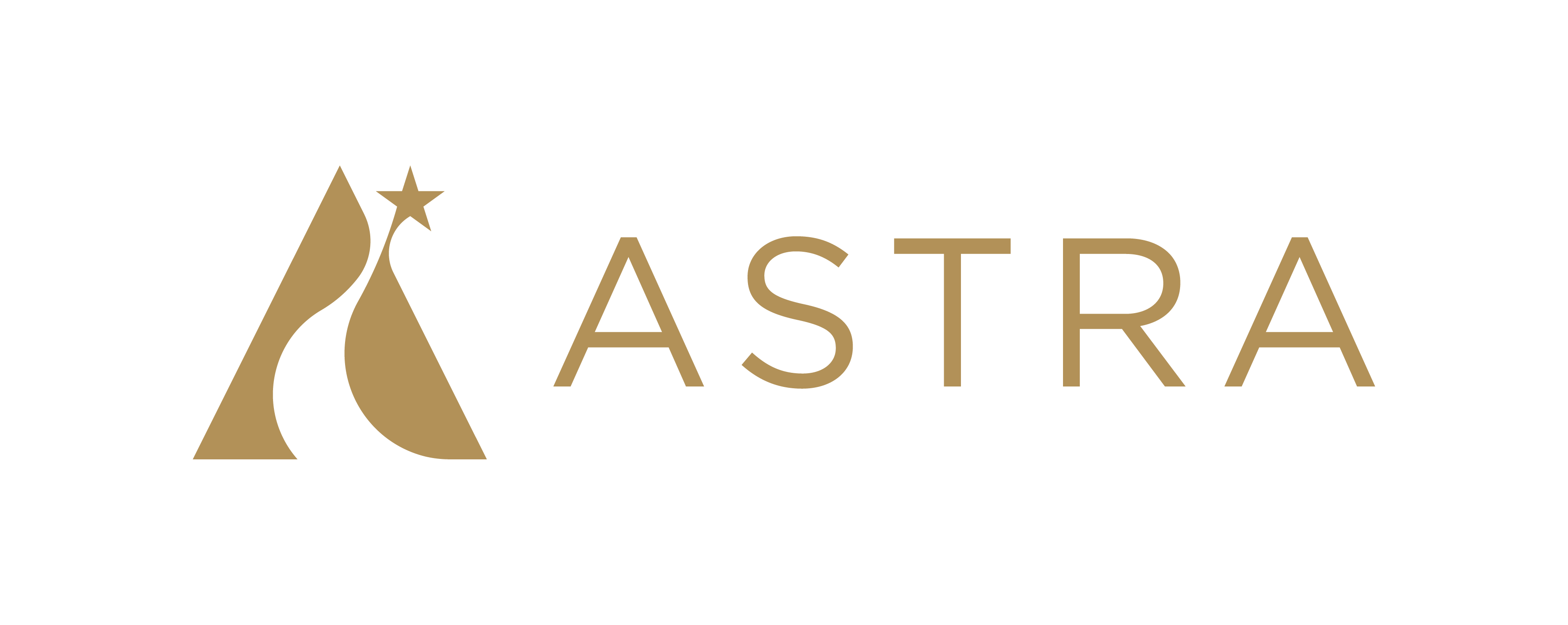 Astra Academy